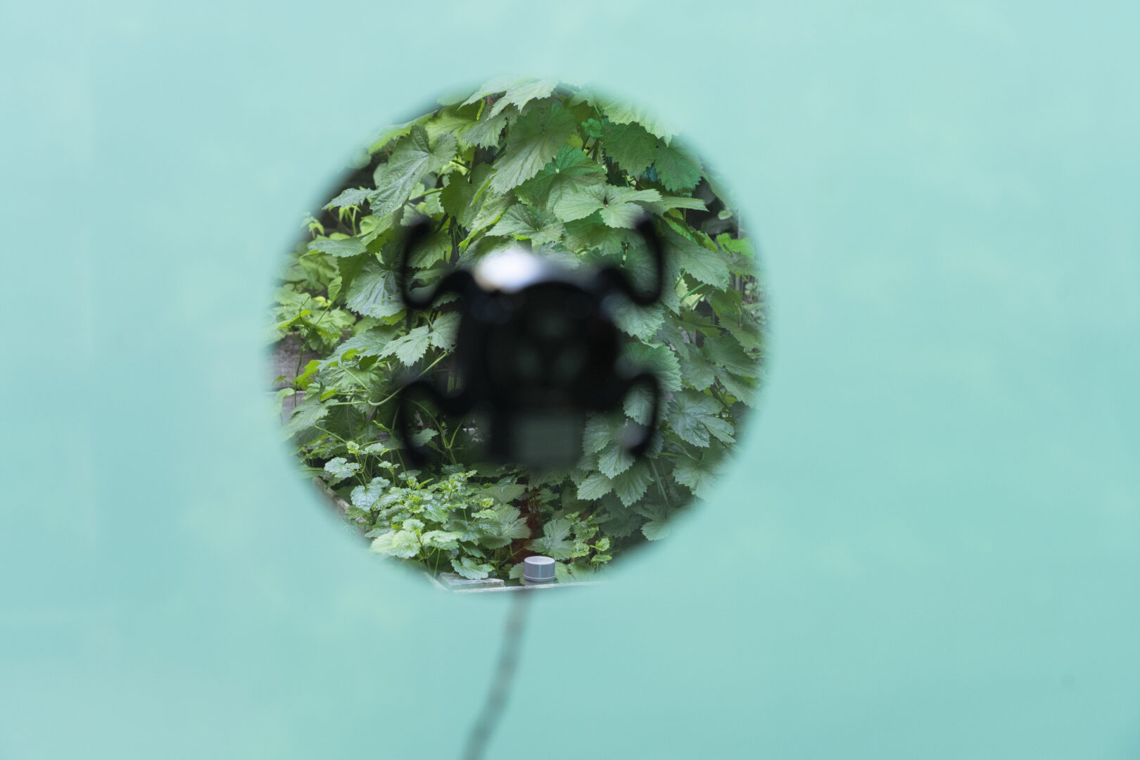 Jonathan Looman – HyperGarden - The Grey Space in the Middle - Space ...
