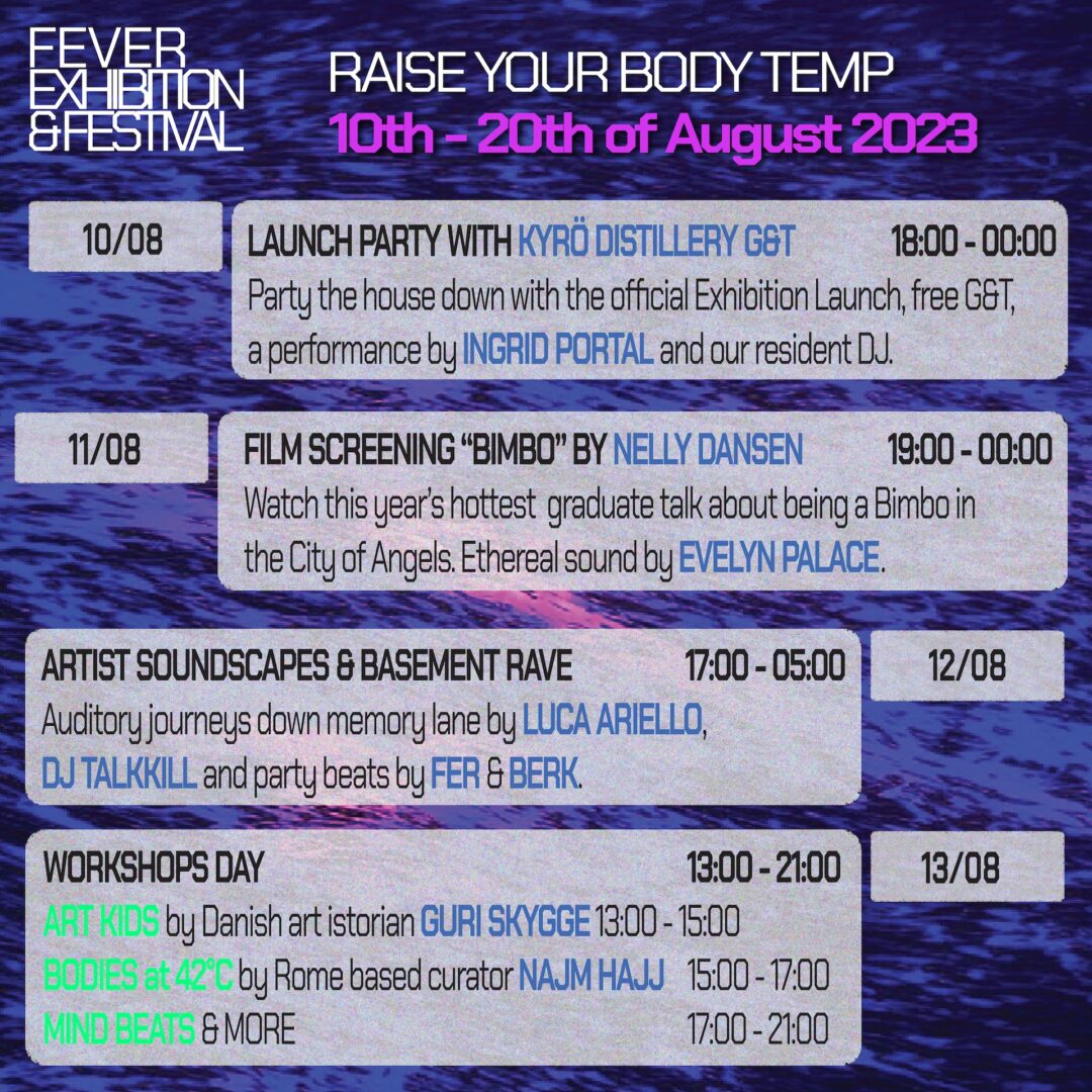 FEVER Festival - The Grey Space in the Middle - Space for fundamental ...